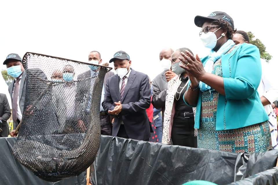 Deputy Governor Of Meru Promotes Fish Farming In The County - Africa ...
