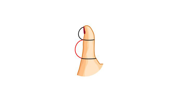 Shape Of Your Thumb Reveals About Your Personality! - Africa Business News